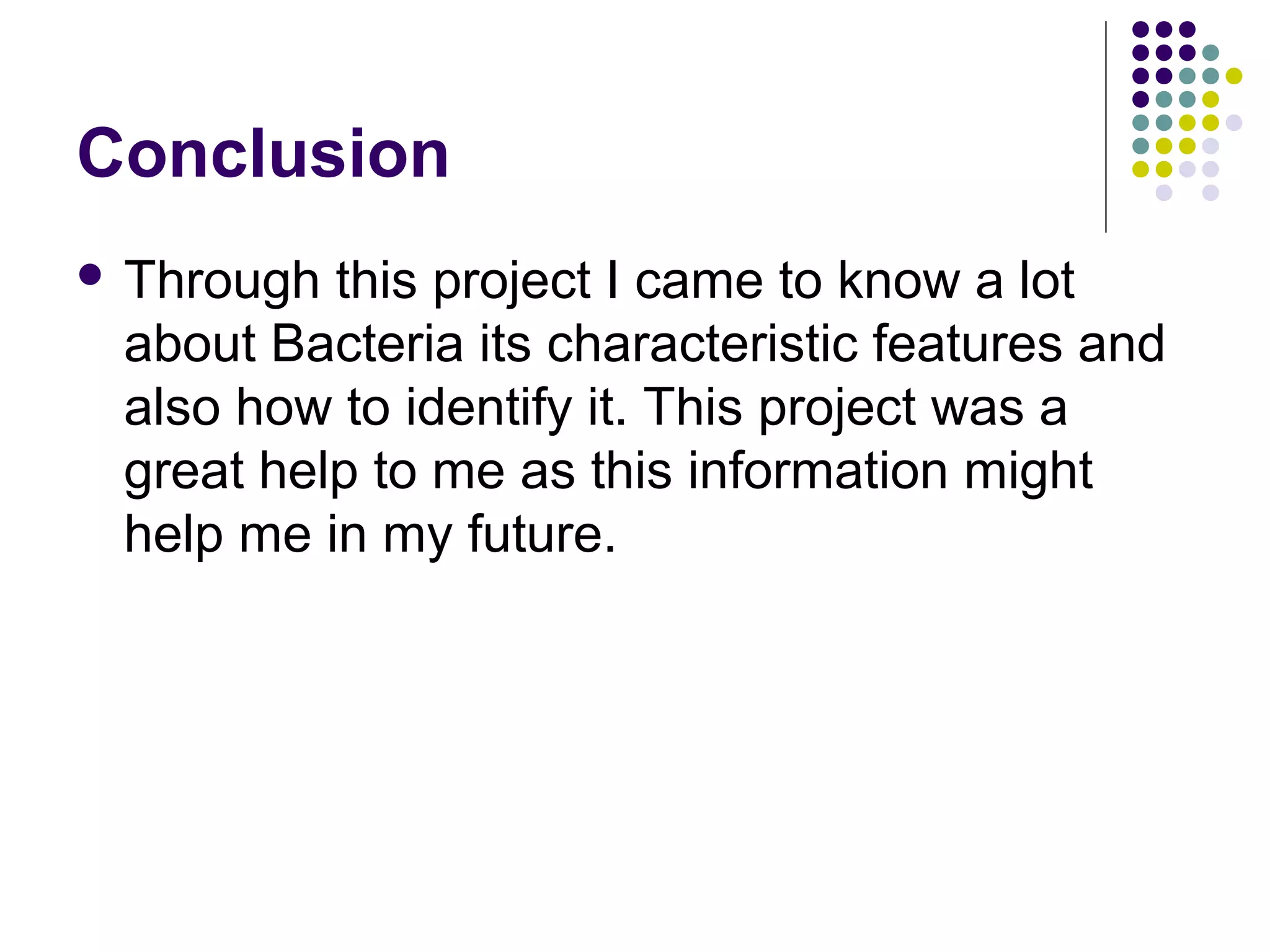 INVESTIGATORY PROJECT ON BACTERIA | PPT