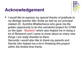 INVESTIGATORY PROJECT ON BACTERIA | PPT