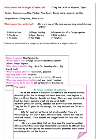 MS4 You Can Do It | DOC