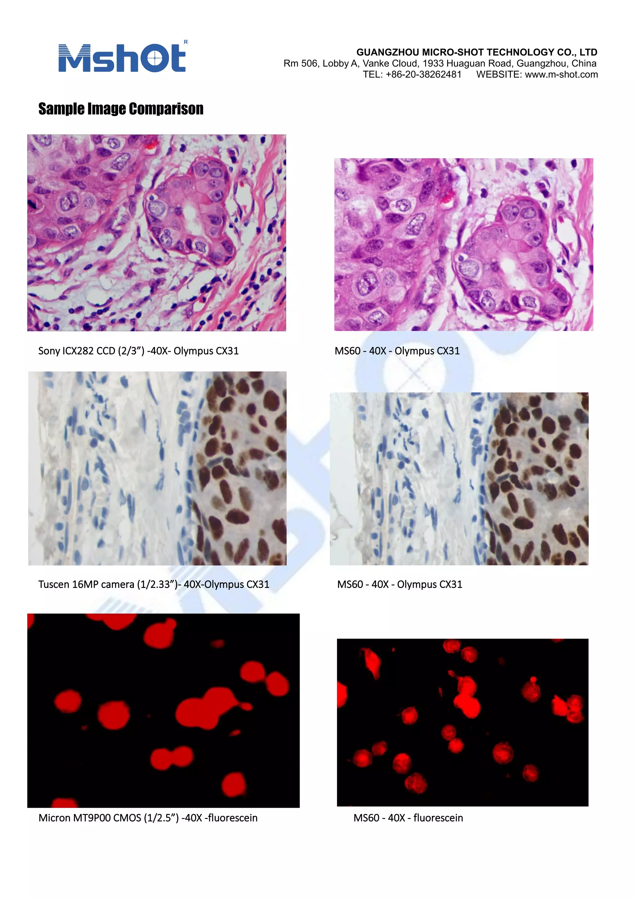 Ms60 scientific camera comparison image with sony tucsen micron | PDF ...