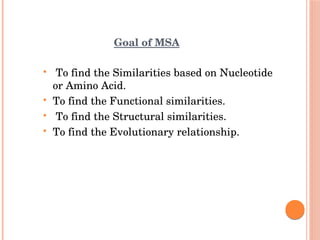 Msa | PDF