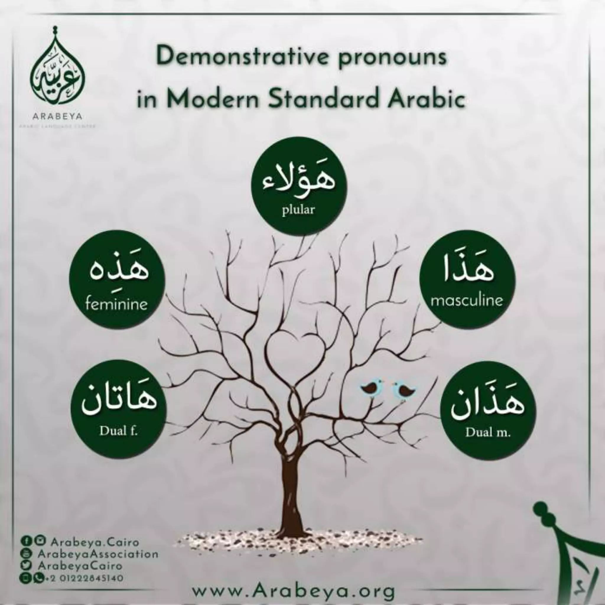 Learn Modern Standard Arabic with Arabeya (Arabic grammar & vocabulary ...