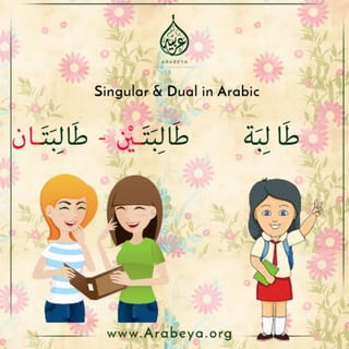 Learn Modern Standard Arabic with Arabeya (Arabic grammar & vocabulary ...
