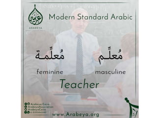 Modern Standard Arabic | PPSX
