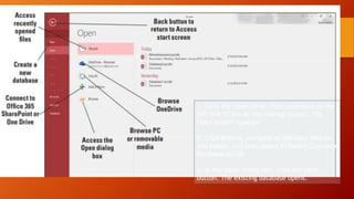 MS Access Intro | PPTX | Databases | Computer Software and Applications