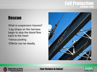 MSA Fall Protection | PPT