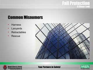MSA Fall Protection | PPT
