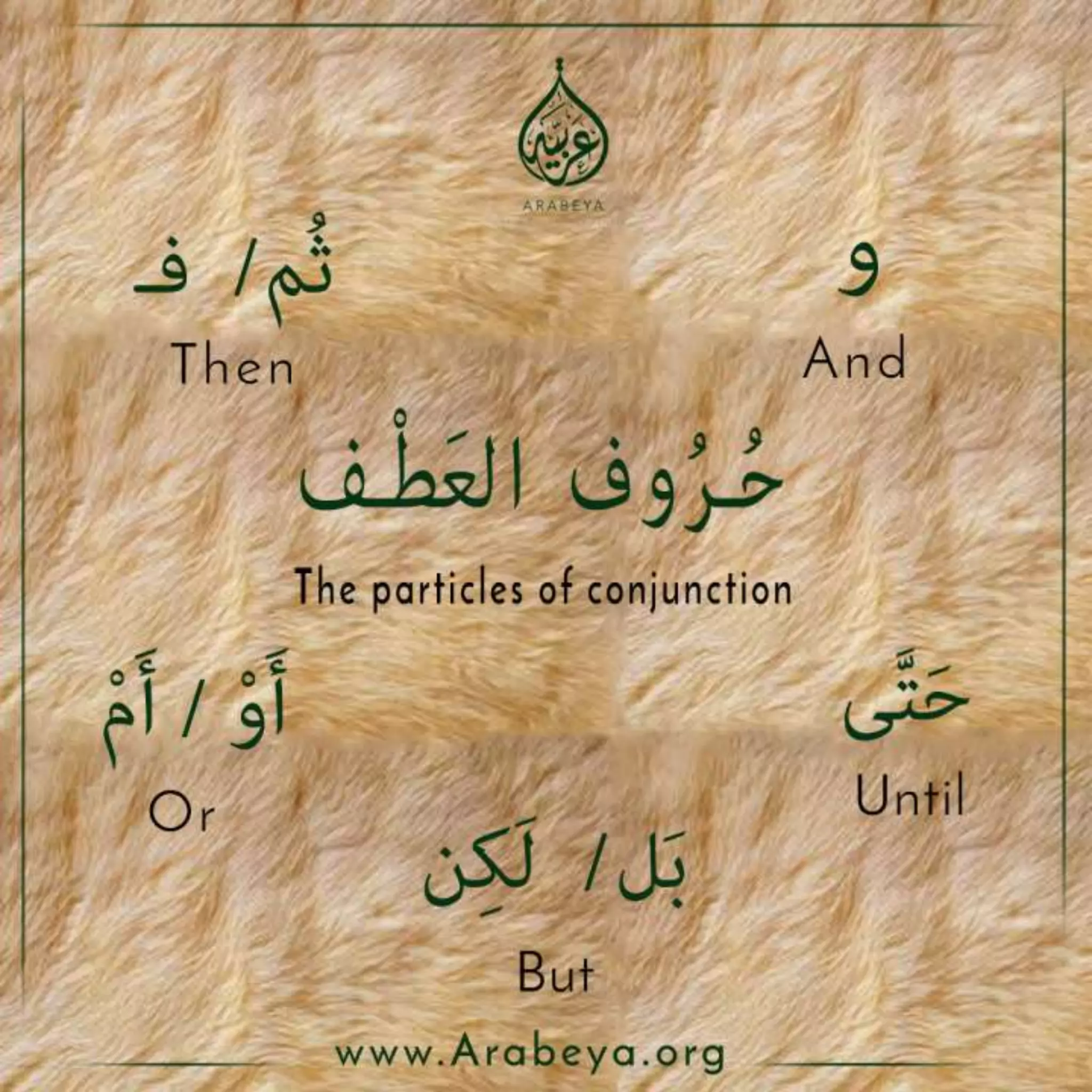 09 Quick Arabic Grammar Lessons | PPSX