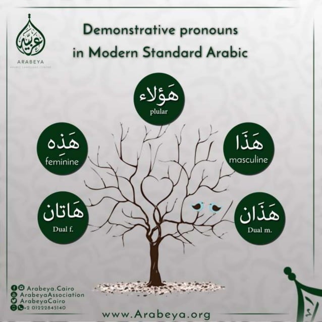 09 Quick Arabic Grammar Lessons | PPSX