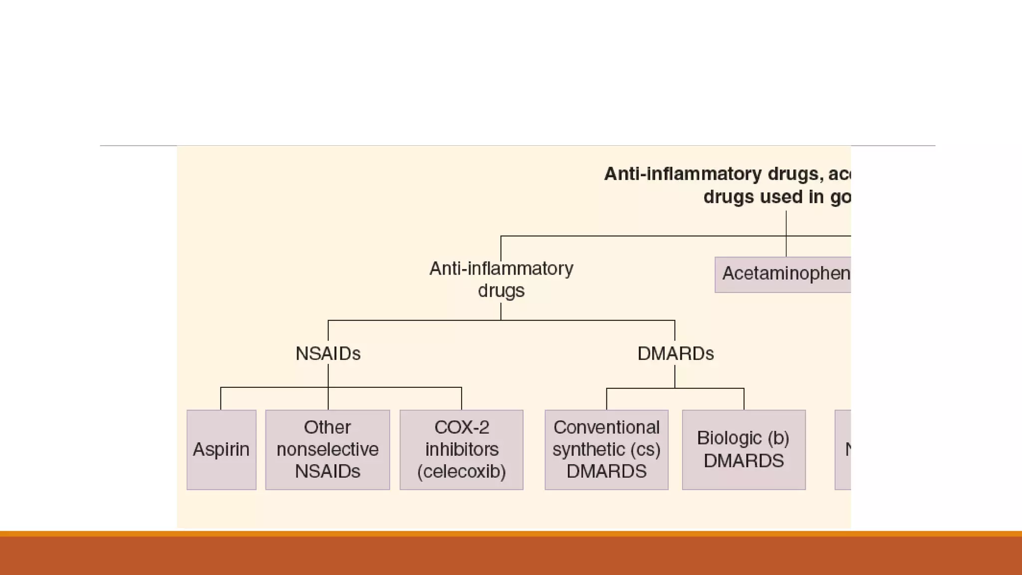 MSAIDs and Acetaminophen.pptx