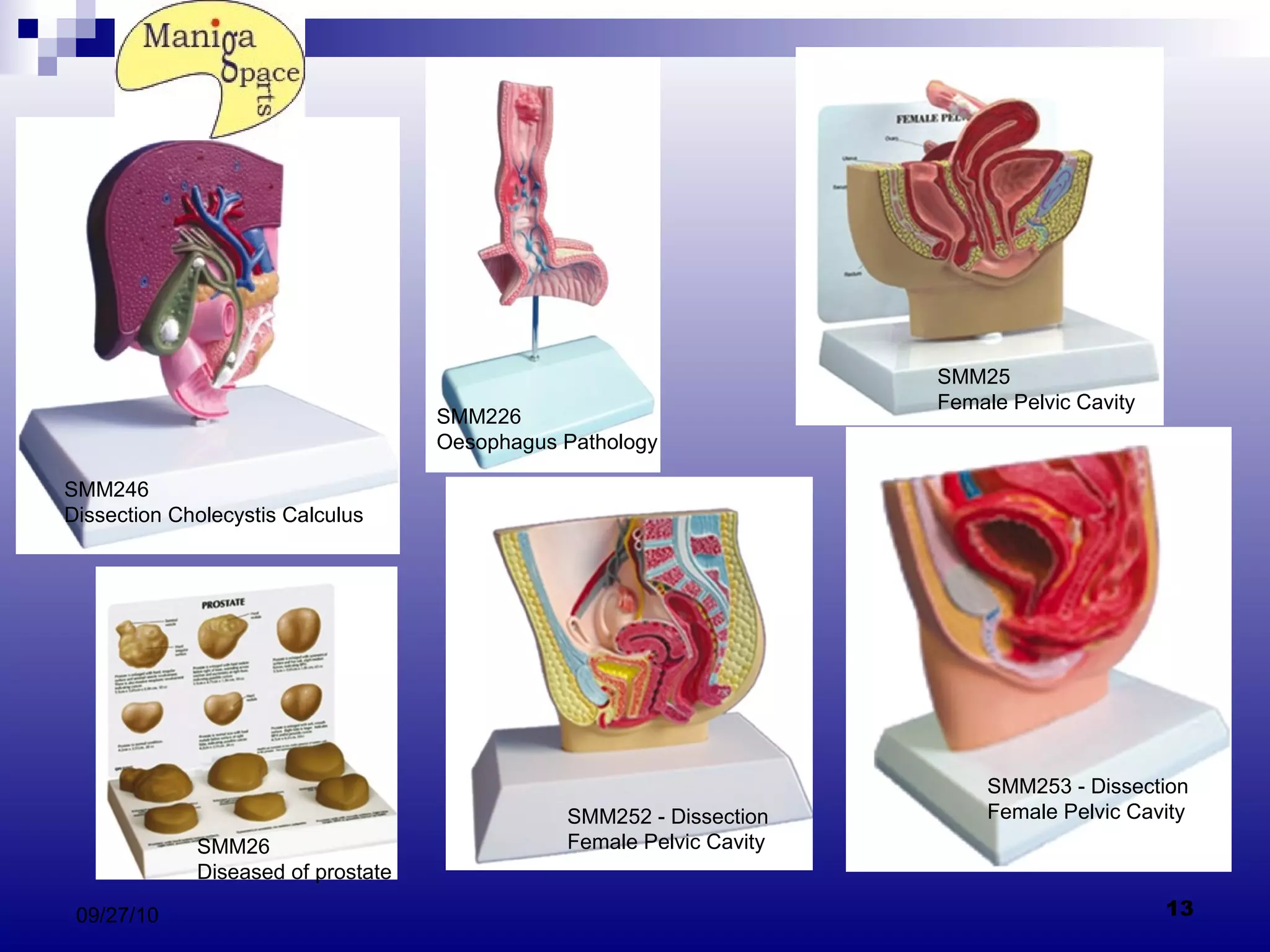 Promo Mod Anat.Humana | PPS | Death, Injury, or Military Conflict | Sensitive Topics