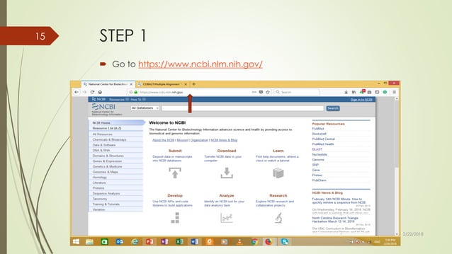 Multiple Sequence Alignment Tool Using NCBI COBALT | PDF | Web Development | Internet