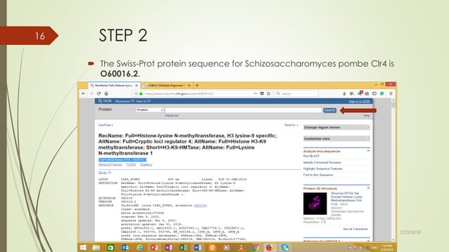 Multiple Sequence Alignment Tool Using NCBI COBALT | PDF | Web Development | Internet