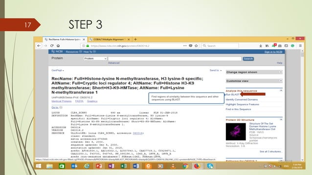 Multiple Sequence Alignment Tool Using NCBI COBALT | PDF | Web Development | Internet