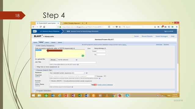 Multiple Sequence Alignment Tool Using NCBI COBALT | PDF | Web Development | Internet