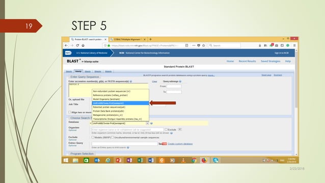 Multiple Sequence Alignment Tool Using NCBI COBALT | PDF | Web Development | Internet