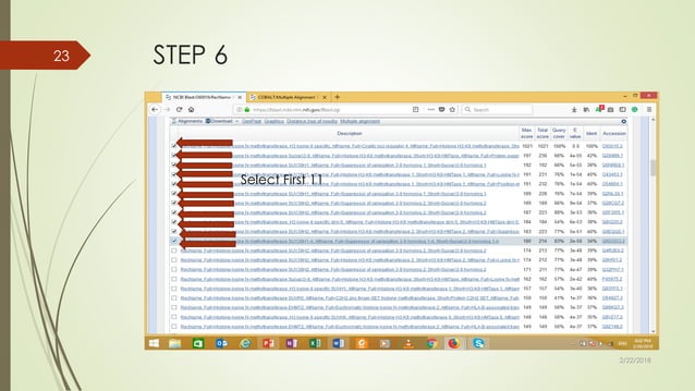 Multiple Sequence Alignment Tool Using NCBI COBALT | PDF | Web Development | Internet