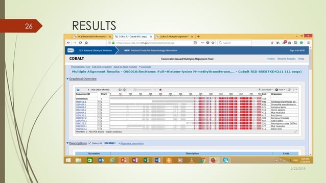 Multiple Sequence Alignment Tool Using NCBI COBALT | PDF | Web Development | Internet