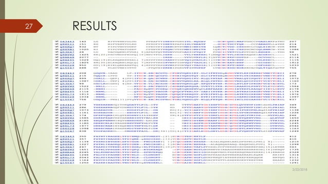 Multiple Sequence Alignment Tool Using NCBI COBALT | PDF | Web Development | Internet