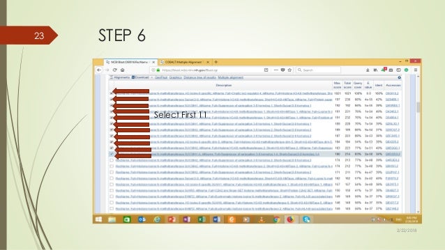 Multiple Sequence Alignment Tool Using NCBI COBALT
