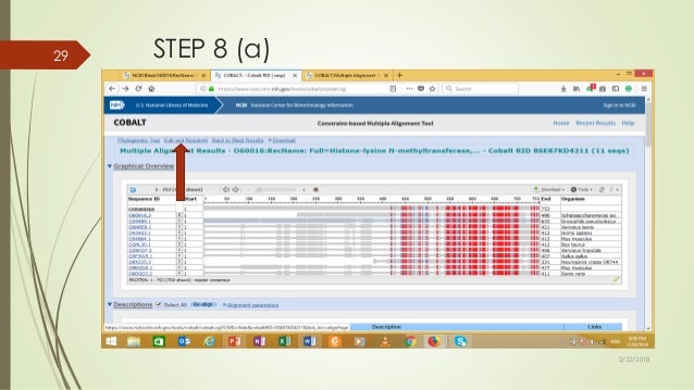 Multiple Sequence Alignment Tool Using NCBI COBALT
