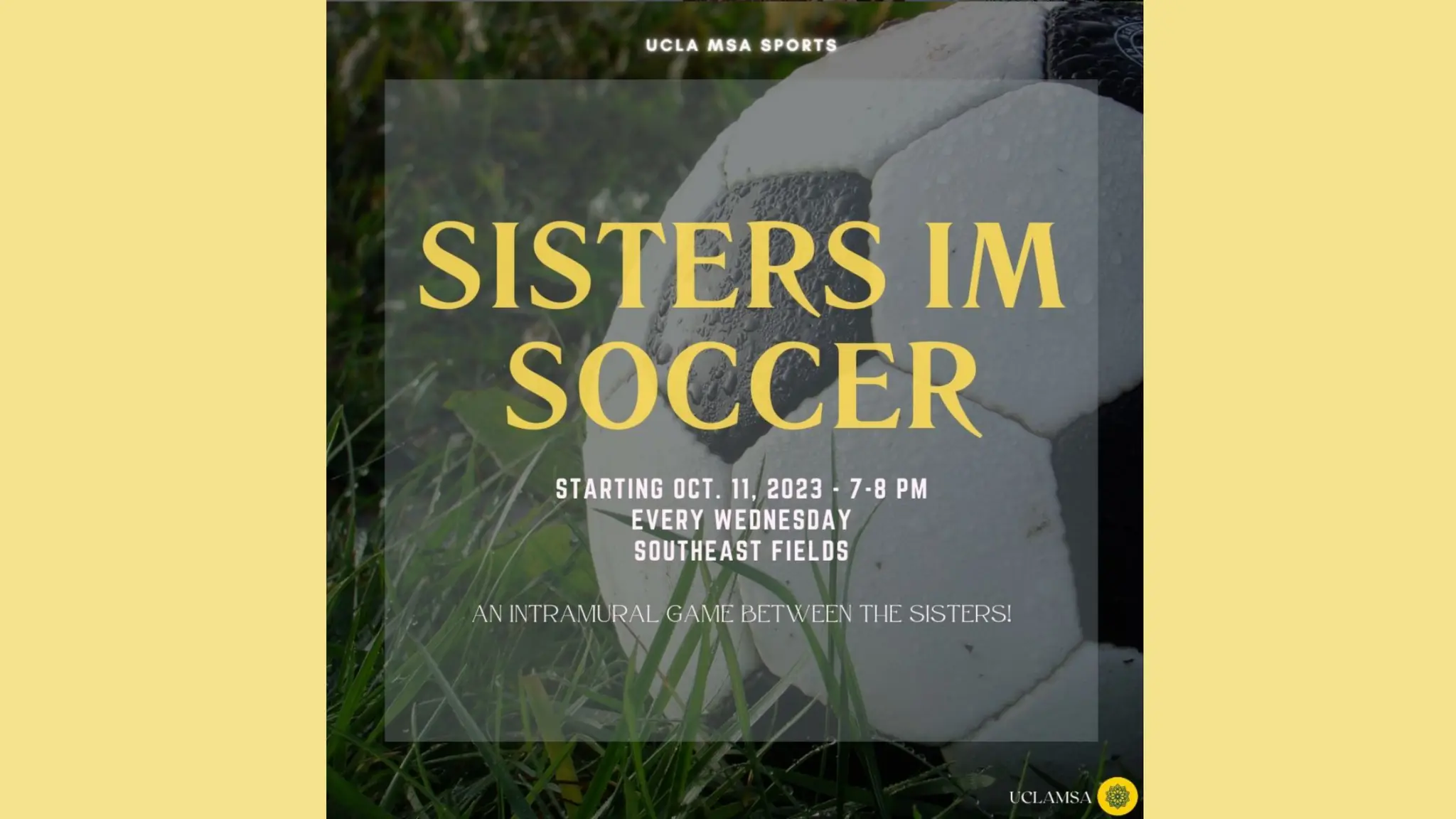 MSA Website Slideshow (7).pdf