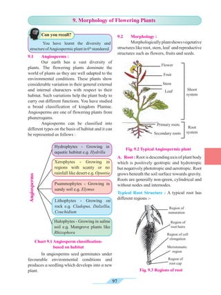 MSB Class 11 Biology-Ch9.pdf for NEET and State | PDF