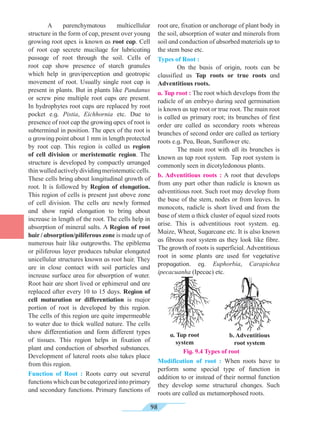 MSB Class 11 Biology-Ch9.pdf for NEET and State | PDF