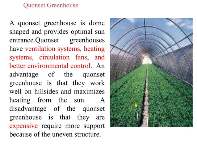 Green house | PPTX | Gardening | Home & Garden