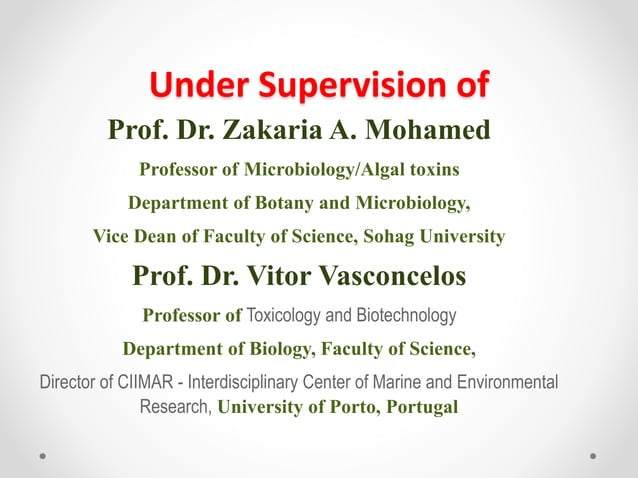 MSc. presentarion (2).pptx