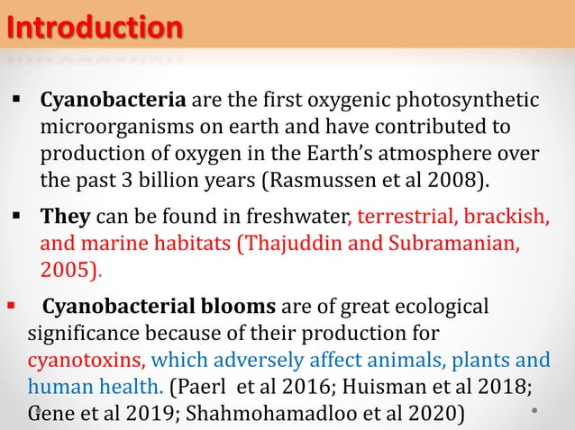 MSc. presentarion (2).pptx