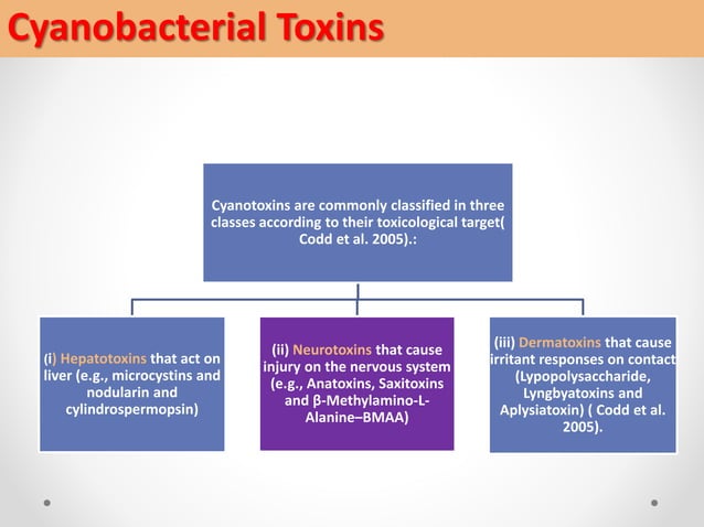 MSc. presentarion (2).pptx