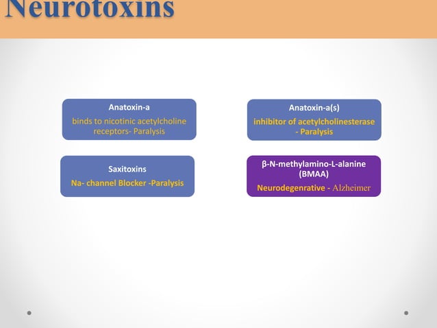 MSc. presentarion (2).pptx