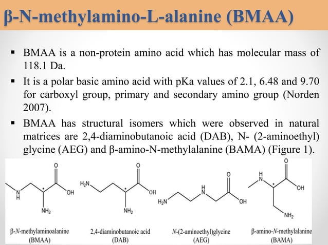 MSc. presentarion (2).pptx