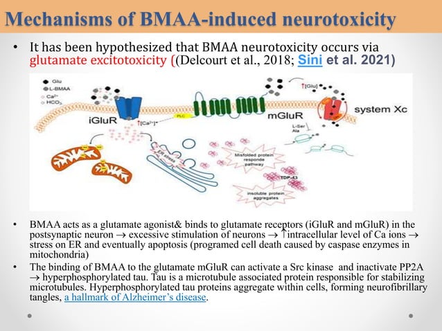 MSc. presentarion (2).pptx