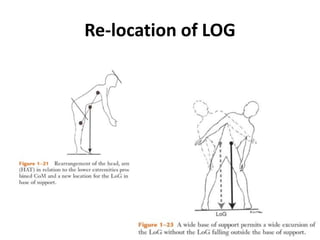 M Sc biomechanics-1-introdution & principles | PPTX | Physics | Science