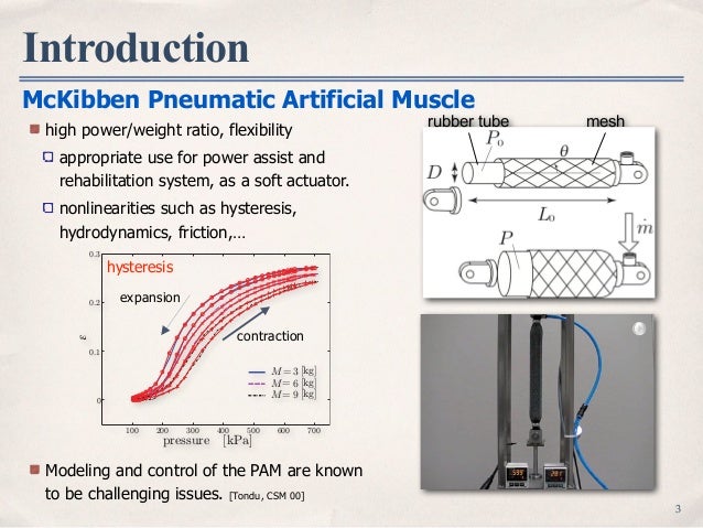 Hybrid Nonlinear Model of McKibben Pneumatic Artificial Muscle System…