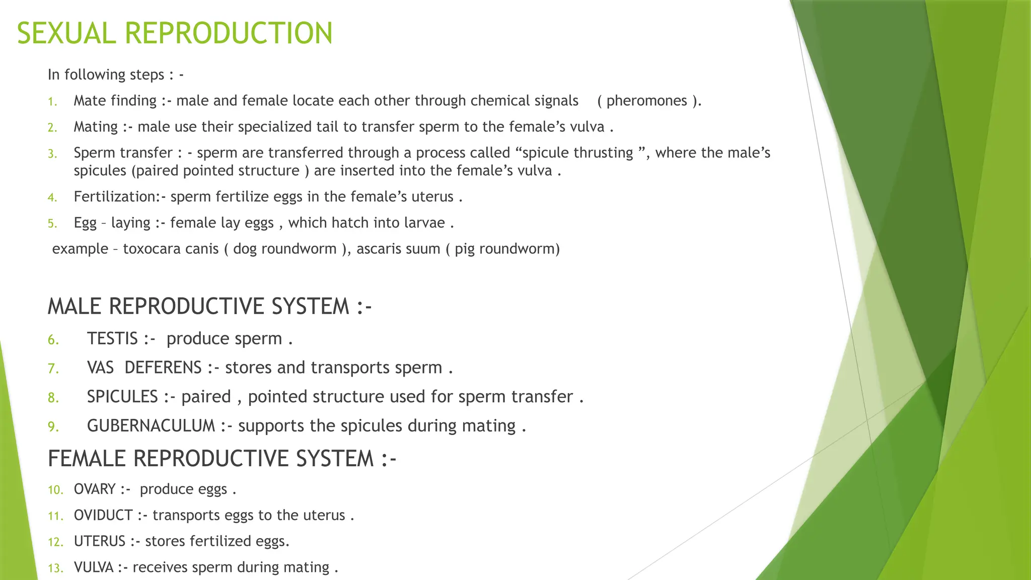 msc2nd komal chouhan (7).pptx reproduction in invertebrates | PPTX