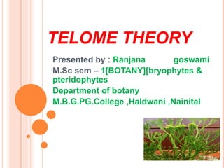 msc 1st sem.pptx