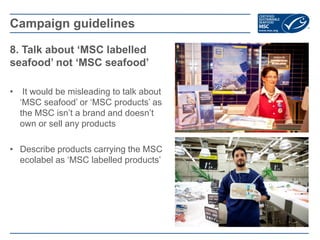 MSC agency briefing pack | PDF