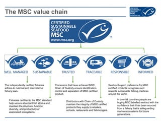 MSC agency briefing pack | PPT