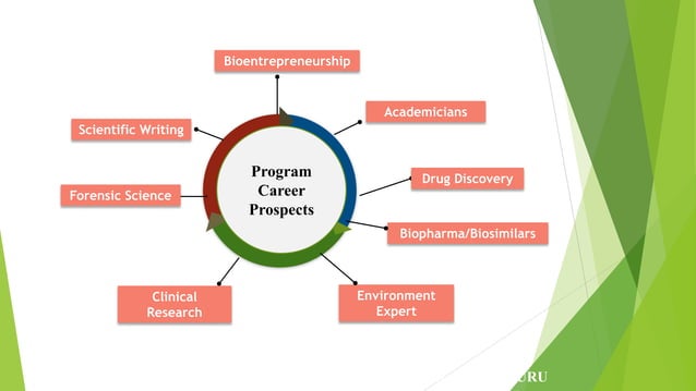 MSc Biological Science - Career guidence 2024.pptx