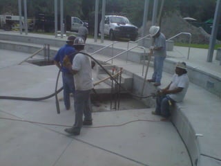 MSC Canopy USF Tampa Up Date | PDF