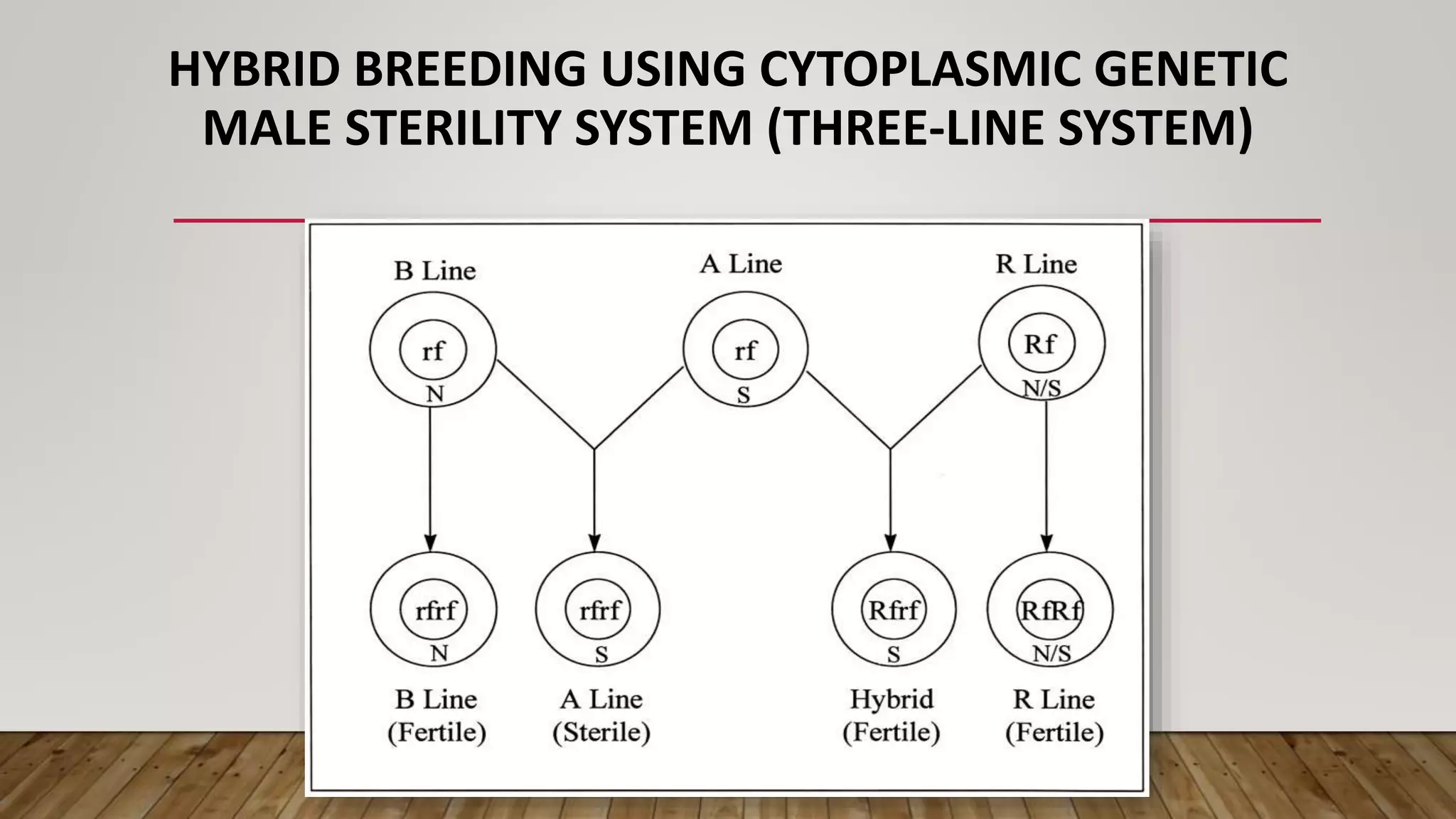 STATUS OF HYBRID RICE BREEDING IN INDIA & ABROAD | PPTX