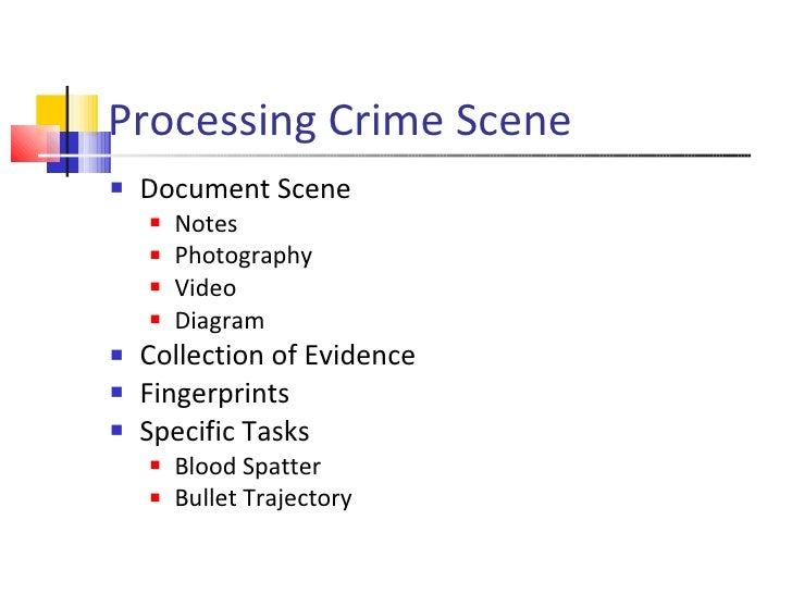 Msc crime scene processing