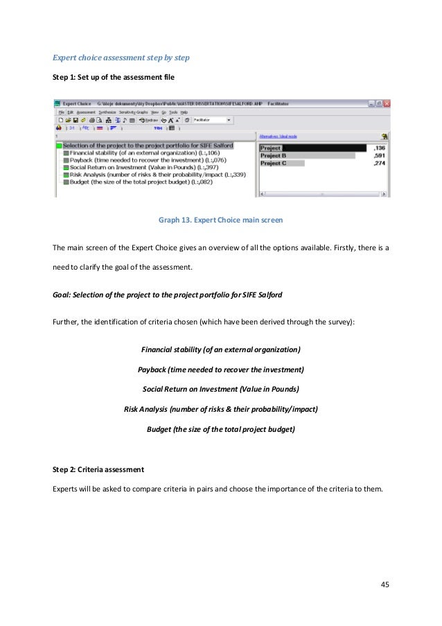 Building a project portfolio in the social enterprise. Analysis and i…