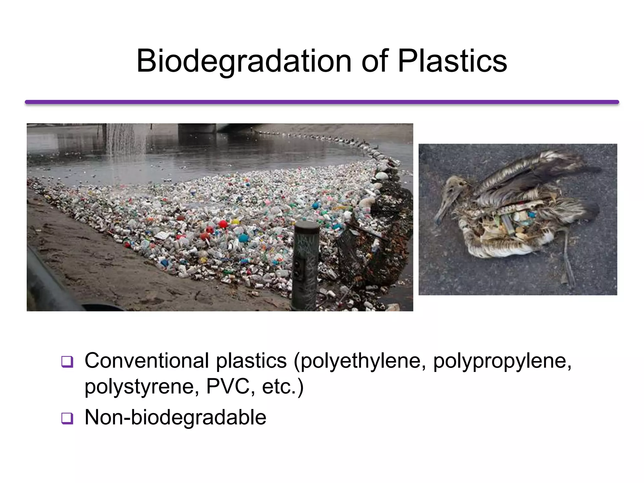 MSc env micro biodegradation (1).pptx | Chemistry | Science