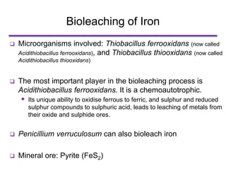 MSc env micro biodegradation | PPTX
