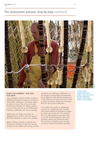A practical guide to the MSC's fishery certification process | PDF