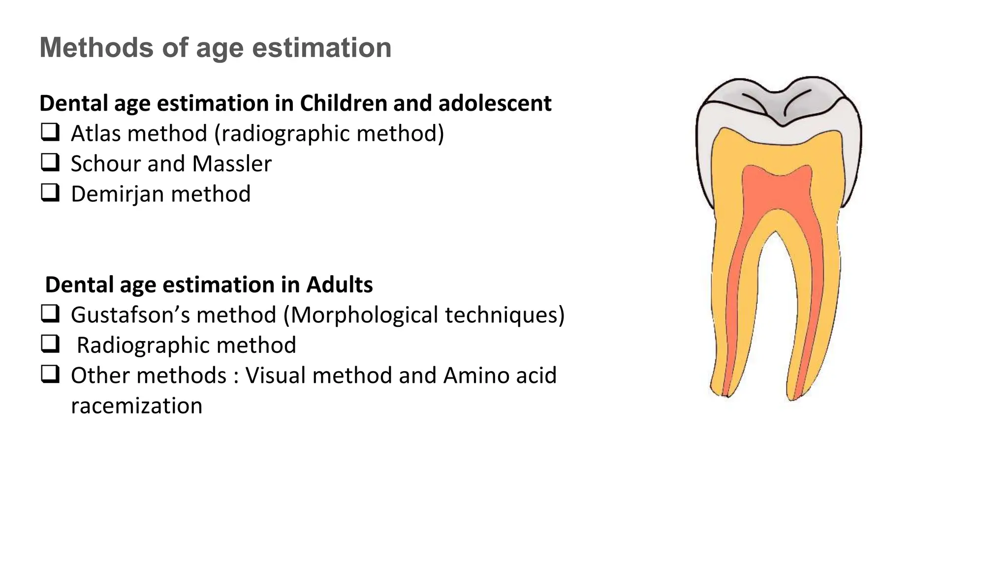 MSCIII_Forensic anthropology_age estimation using dentition.pptx